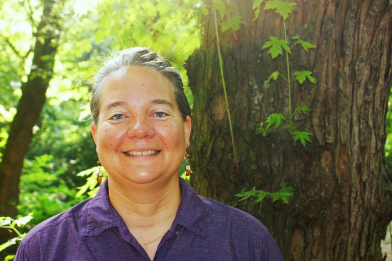 Films about Franciscan Monastery Life – and more